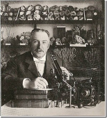 Ramblings of a Naturalist: Edward T. Connold - an appreciation